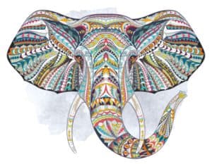 What Is Your Spirit Animal? The Ultimate Beginners Guide