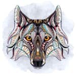 What Is Your Spirit Animal? The Ultimate Beginners Guide